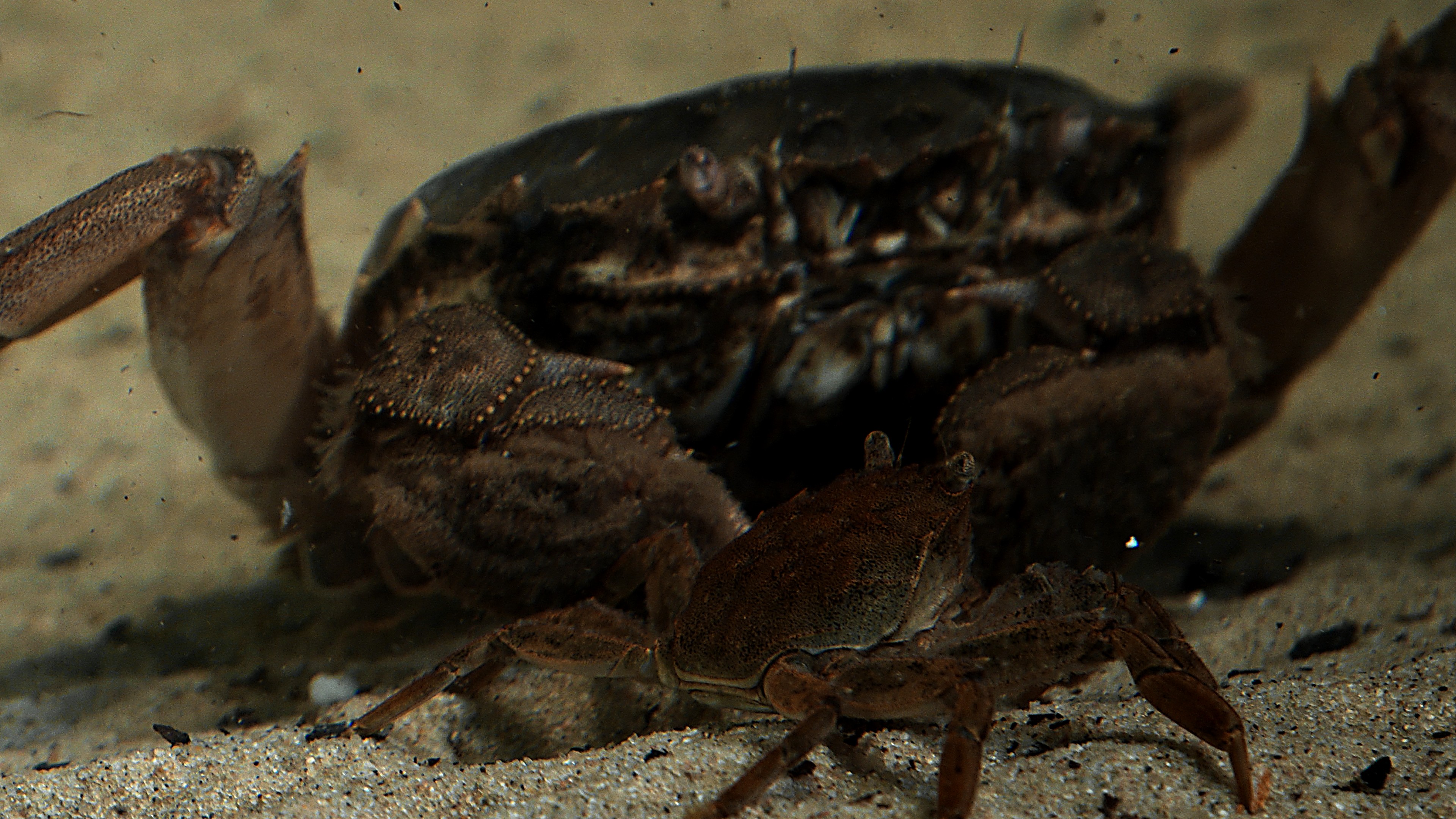 L’édition 2023 – Programmation | Escales Documentaires